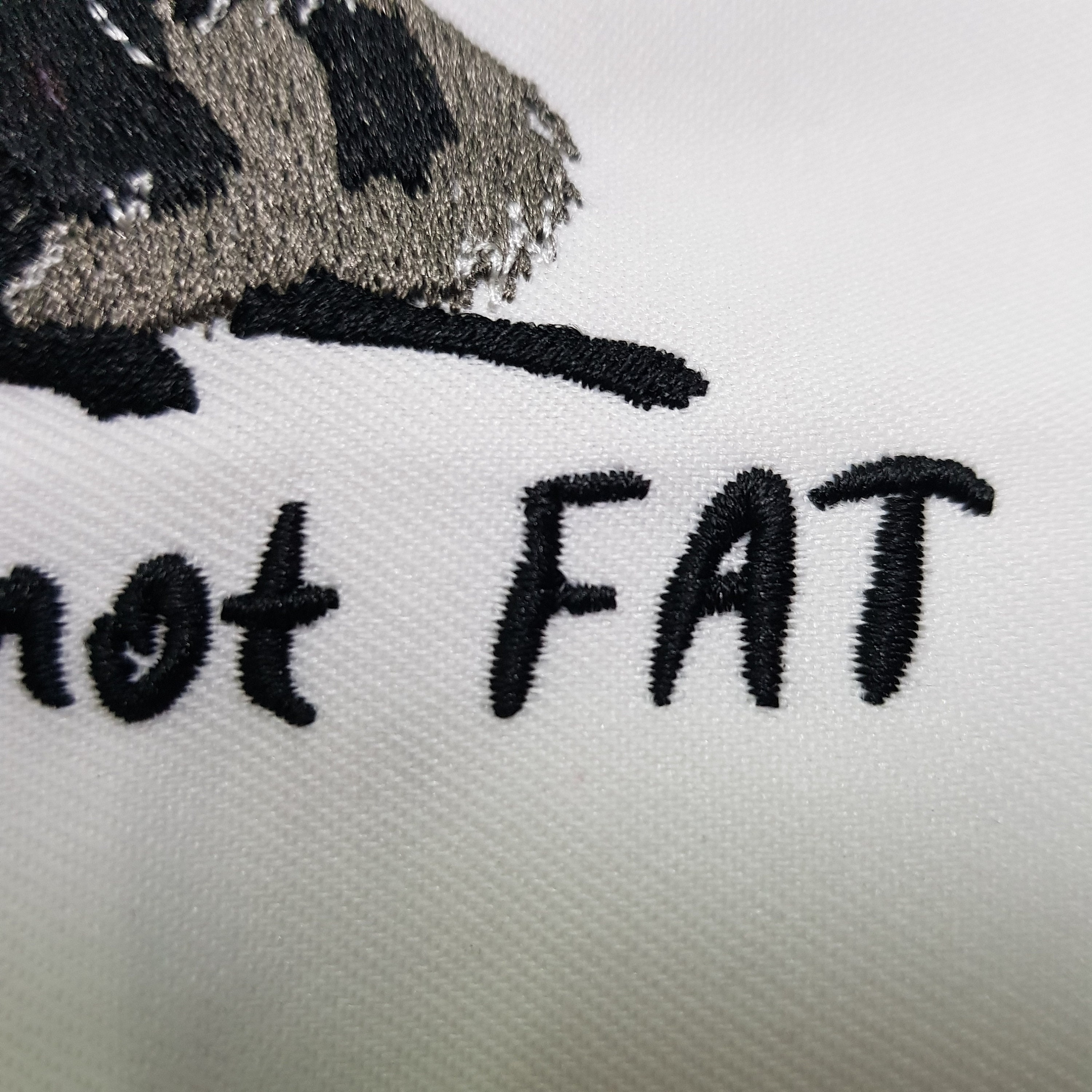 I'm Not Fat Cat Embroidery Design-angry Cat Embroidery Design-digital ...