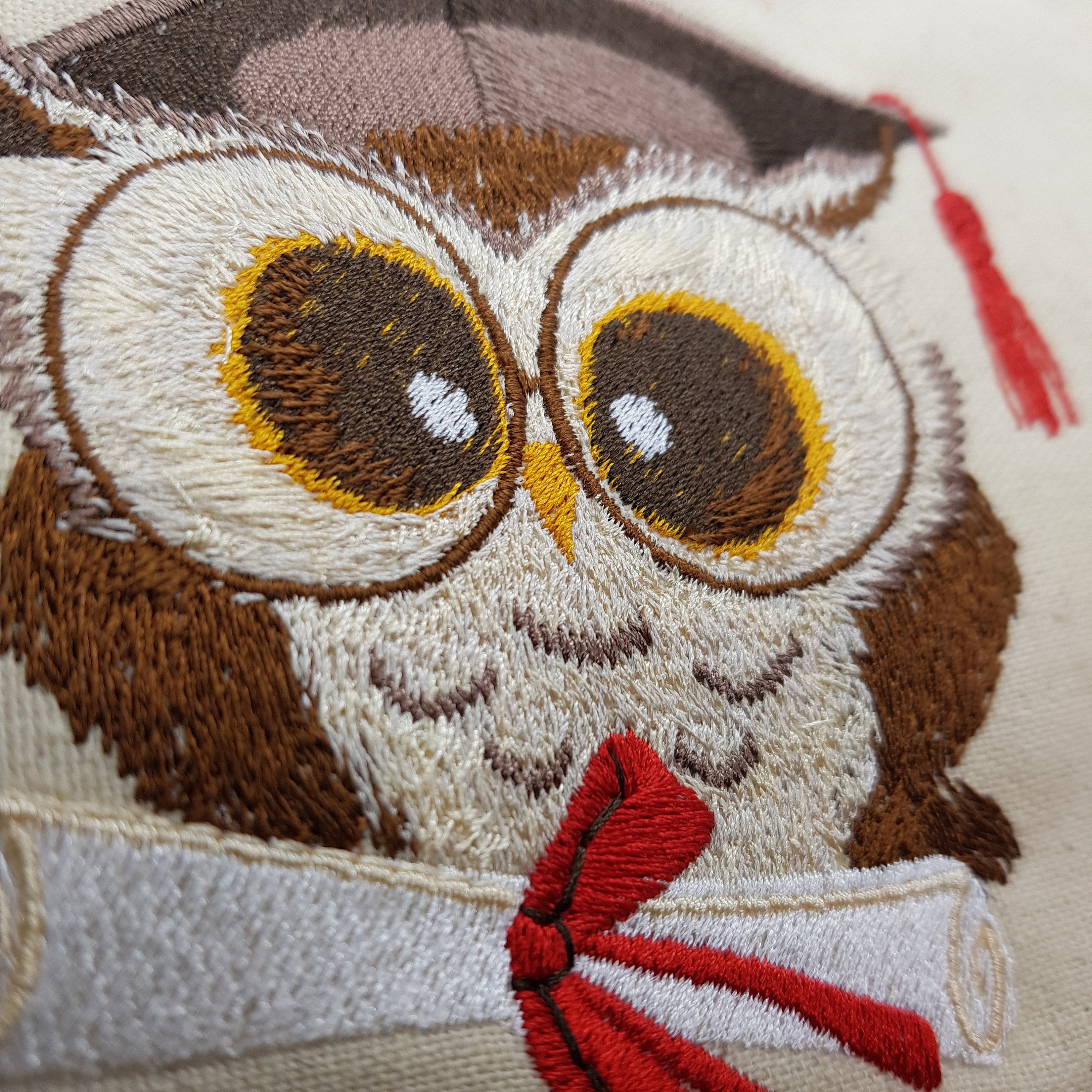 Graduation Owl Design Congratulations Digital File for Embroidery ...