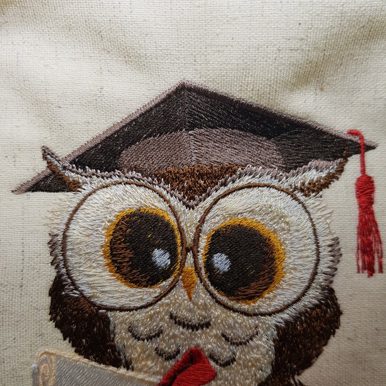 Graduation Owl Design Congratulations Digital File for Embroidery ...