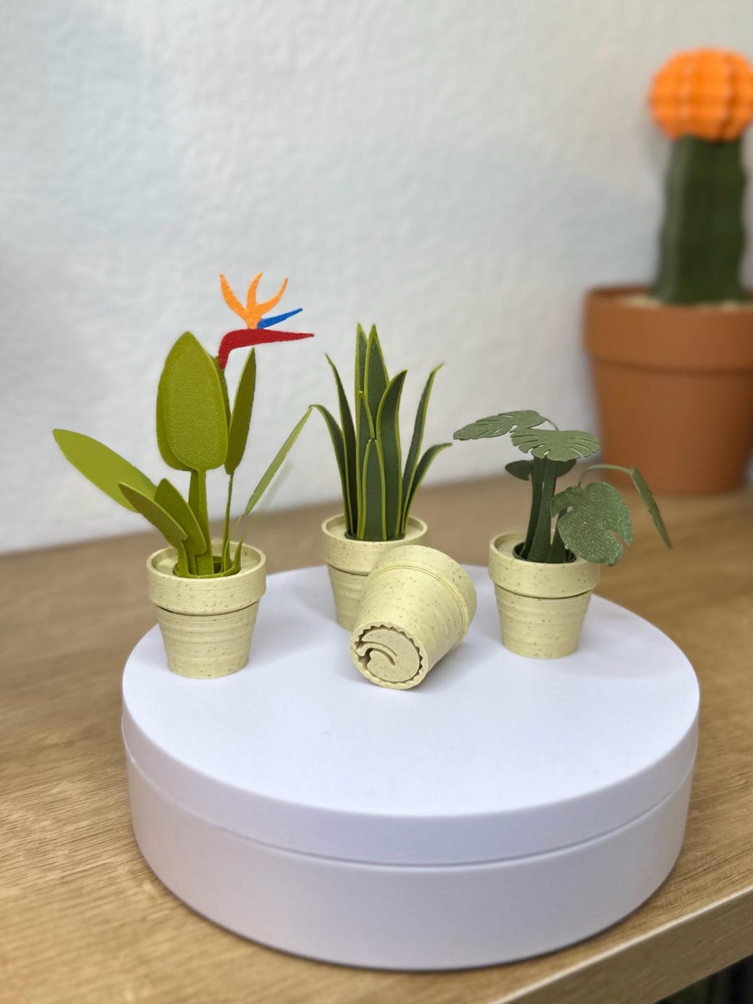 Fidget Foliage | Set of Fidget Plants| Monstera Fidget | Snake Plant ...