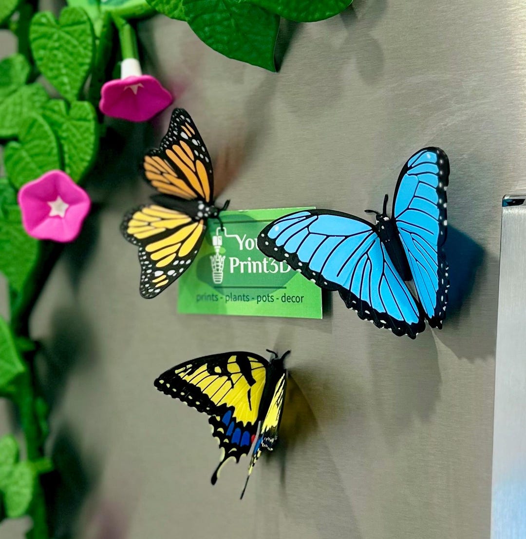 Butterfly Fridge Magnets | Magnet Set | Butterfly Kitchen and Home ...