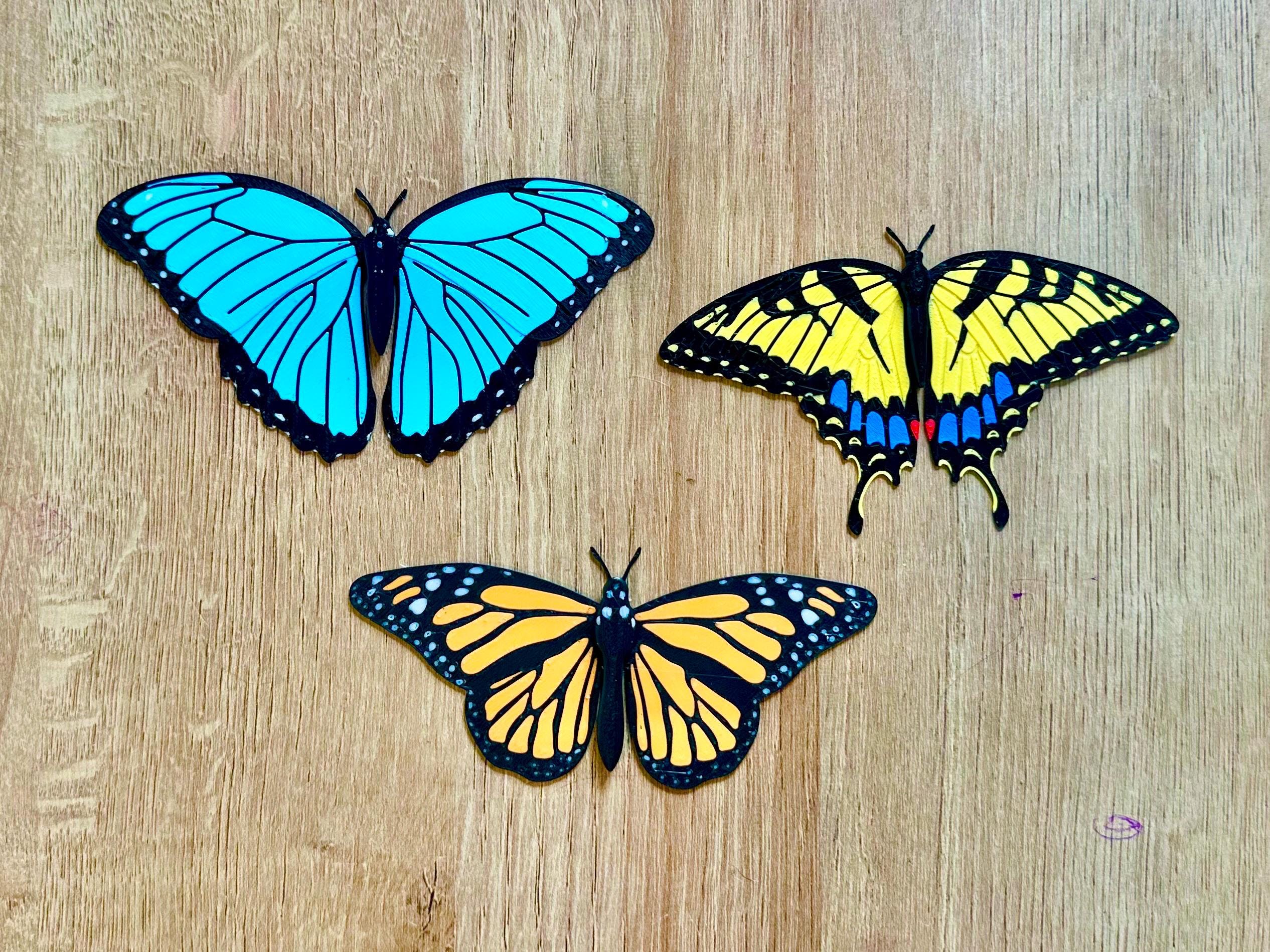 Butterfly Fridge Magnets | Magnet Set | Butterfly Kitchen and Home ...