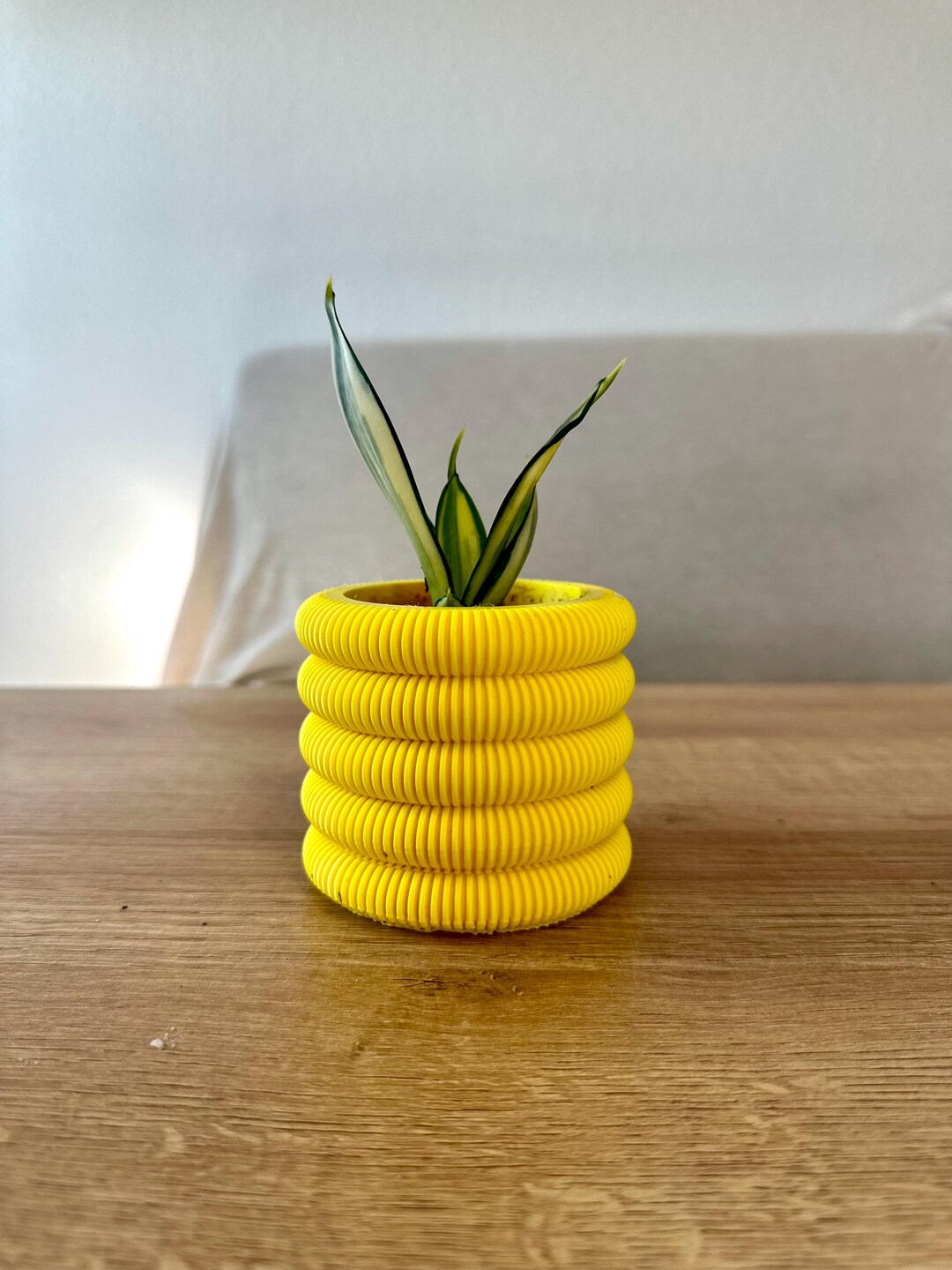 Cache-pot style pièces de monnaie | Cache-pot avec trous de drainage et ...
