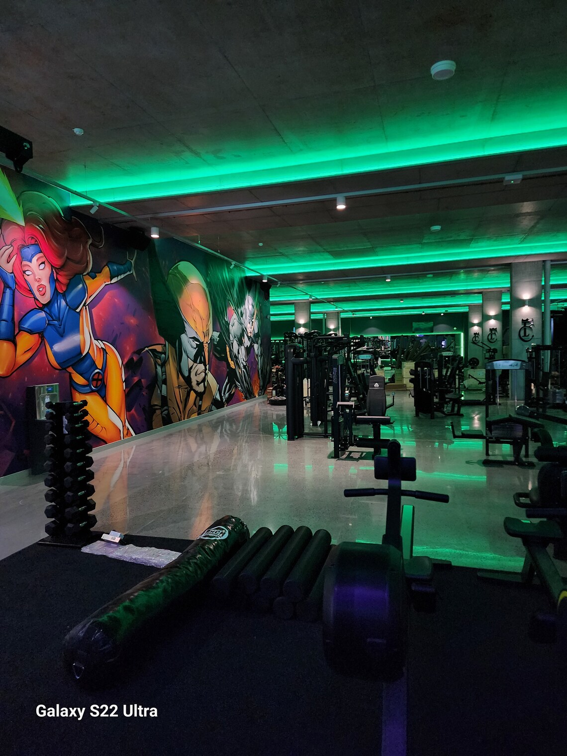 Music Responsive Gym Lighting System - Etsy