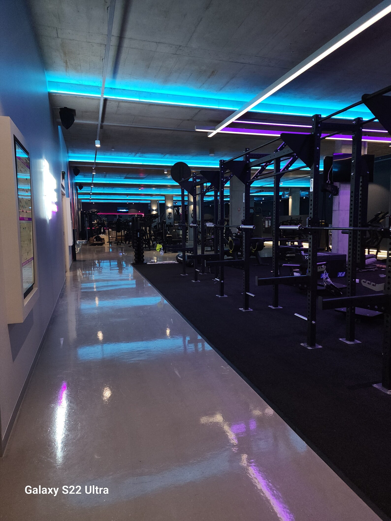 Music Responsive Gym Lighting System - Etsy