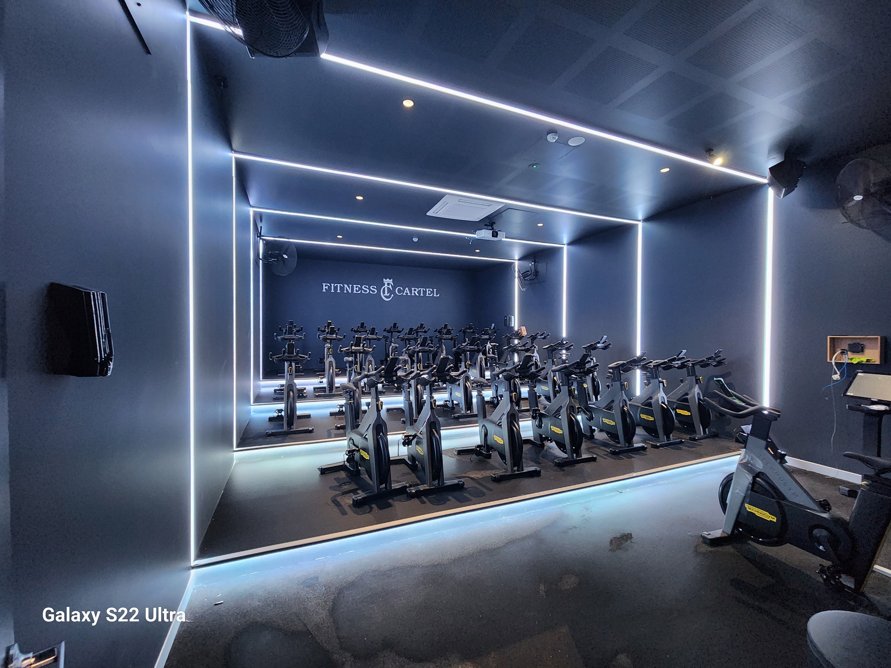 Music Responsive Gym Lighting System - Etsy