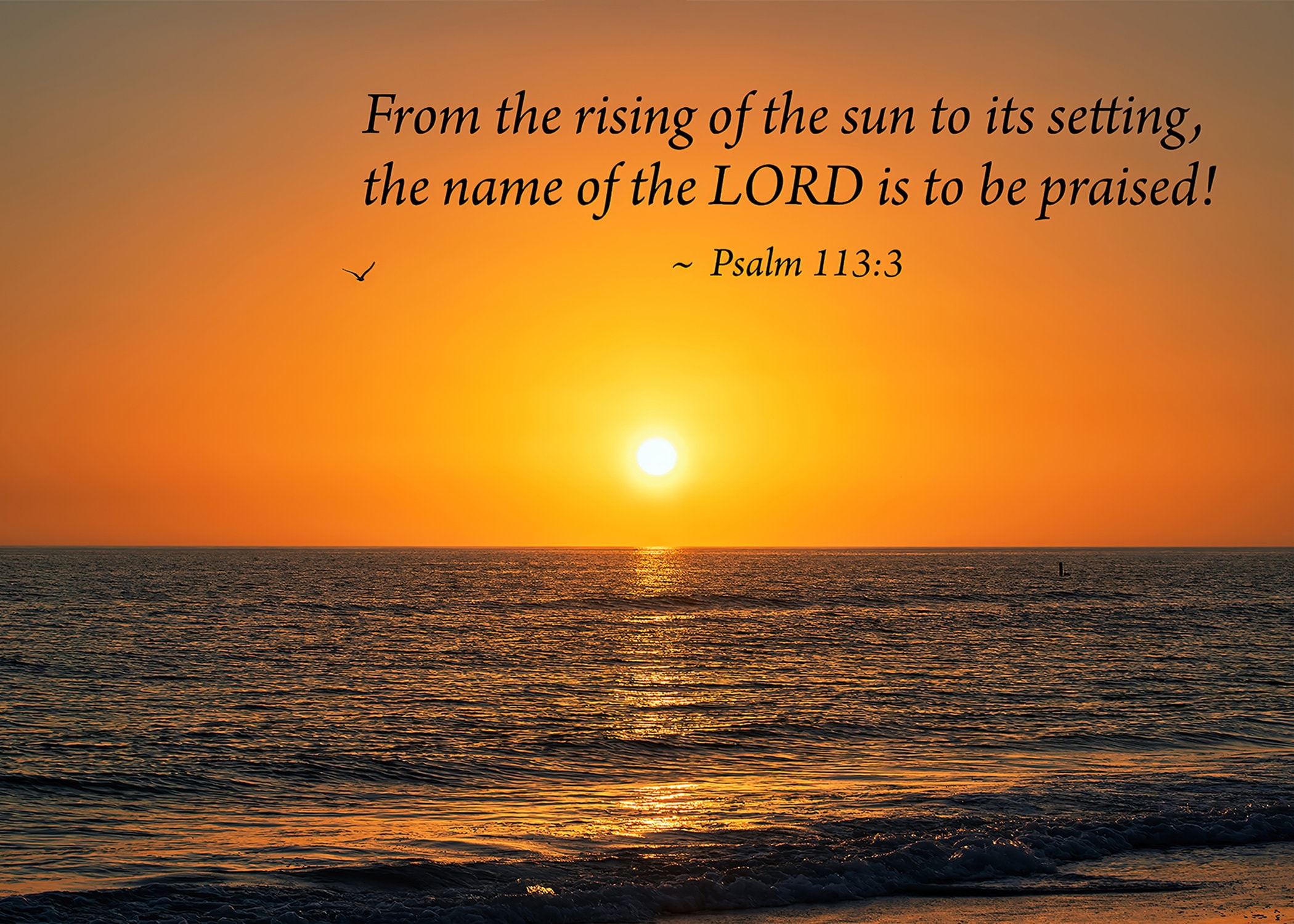 Psalm 113:3 Bible Verse With Sunset, Psalms Scripture Verse Sunset Wall ...