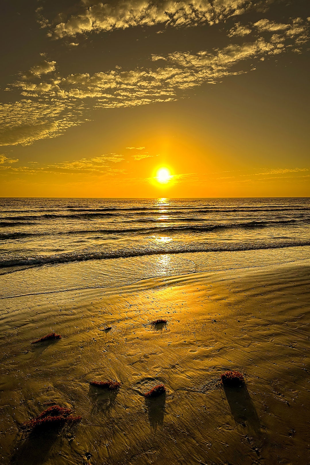 LIMITED EDITION Siesta Key Sunset, Sarasota Florida - Etsy