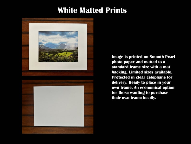 Square Photo With Psalm 55:22 Bible Verse and Orange Dahlia Flower ...