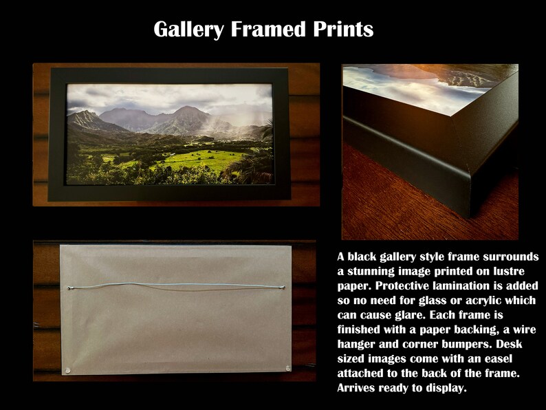 Square Photo With Psalm 55:22 Bible Verse and Orange Dahlia Flower ...