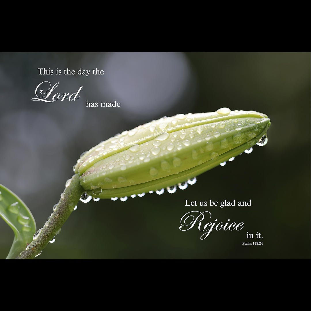 Psalm 118:24 Bible Verse With Lily Flower Bud Photo, Scripture Flower ...