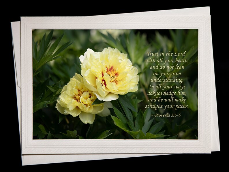 Set of 4 Bible Verse and Flower Photo Note Cards, Flower Photo ...