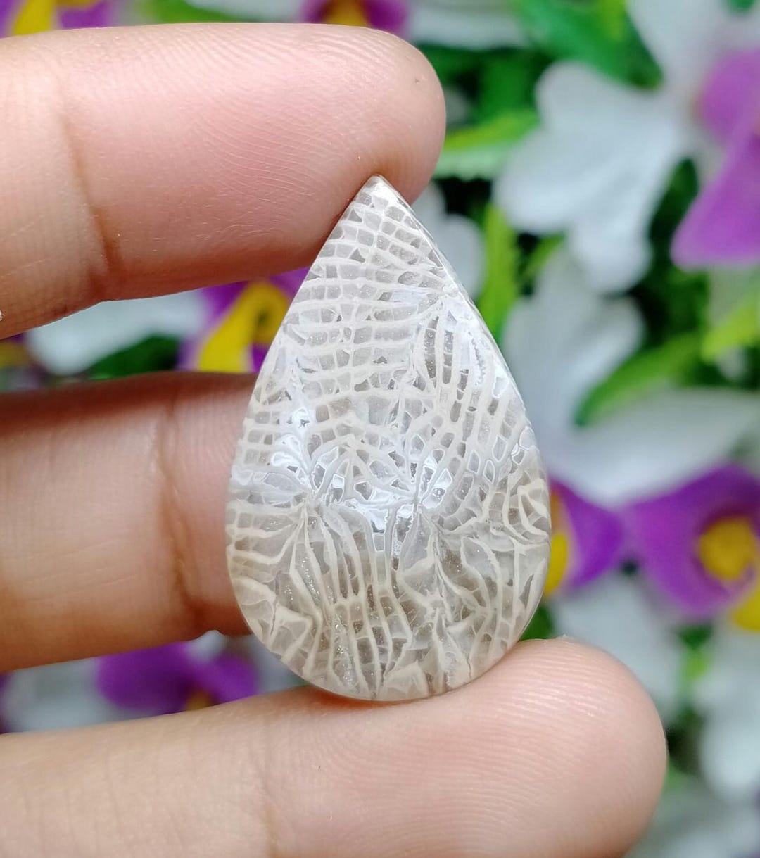 Fossil Coral Stone (27x17x3 Mm) - Etsy