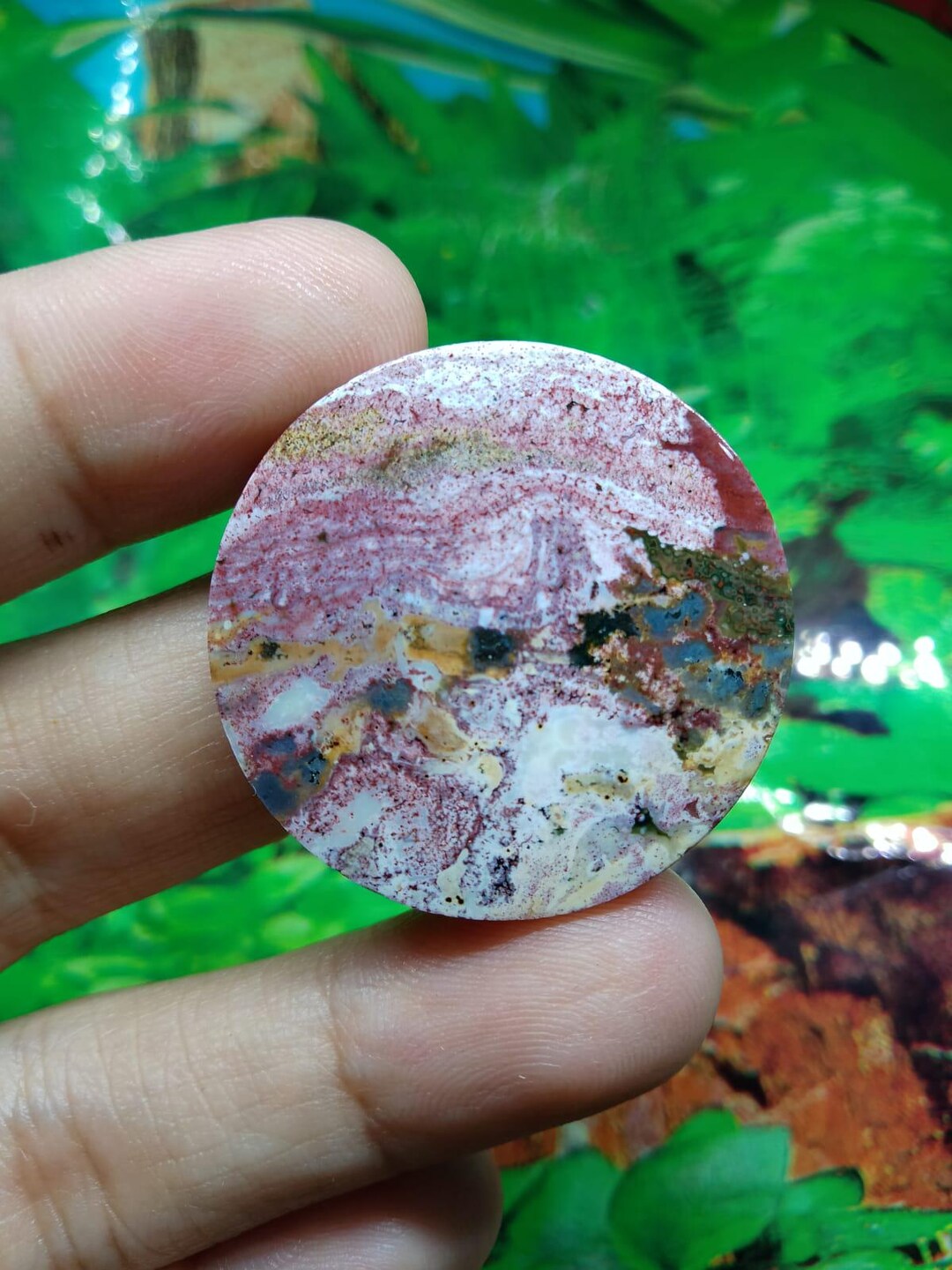Scenic Opalized Petrified Wood - Etsy