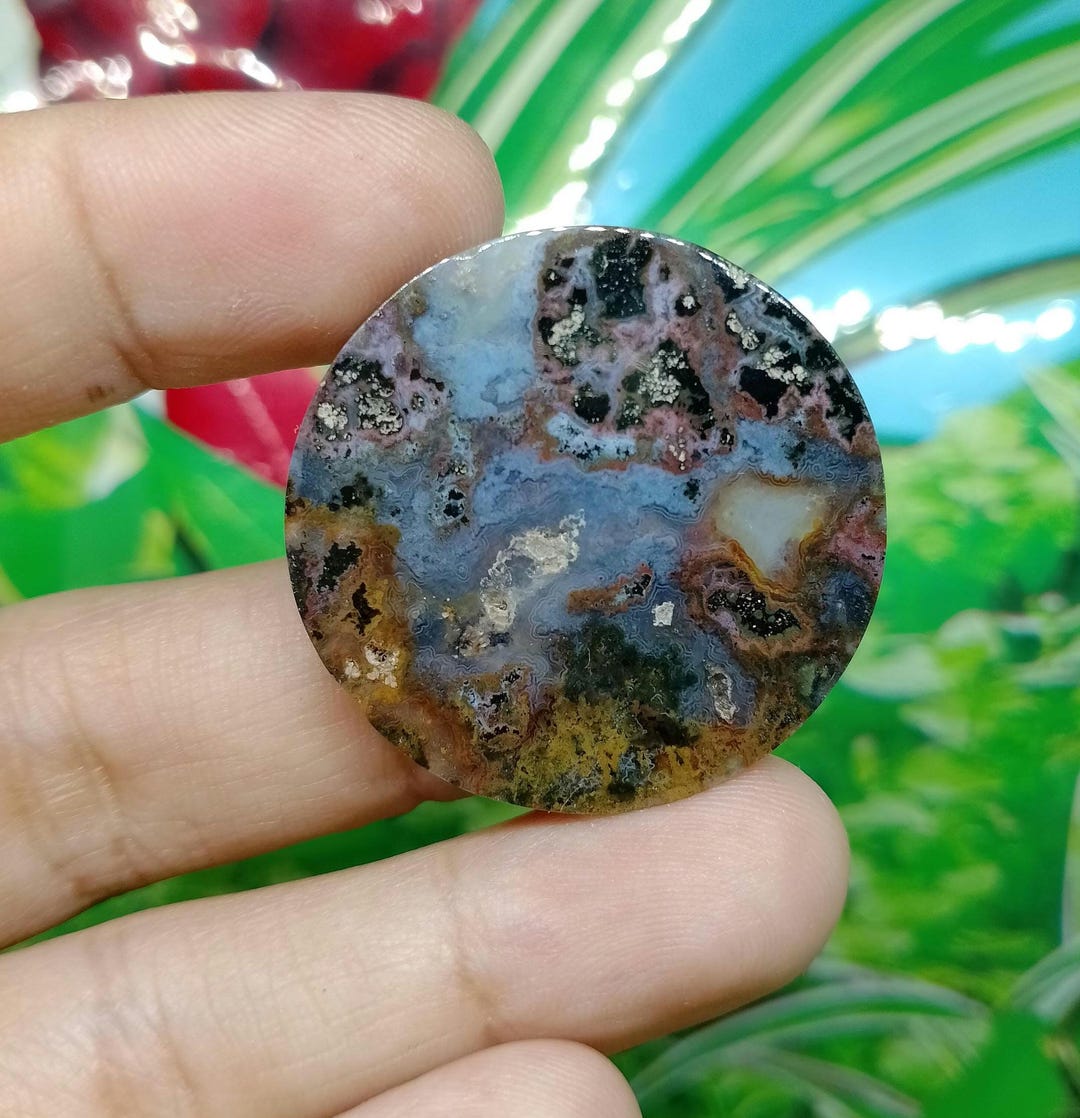 Druzy Opalized Petrified Wood - Etsy