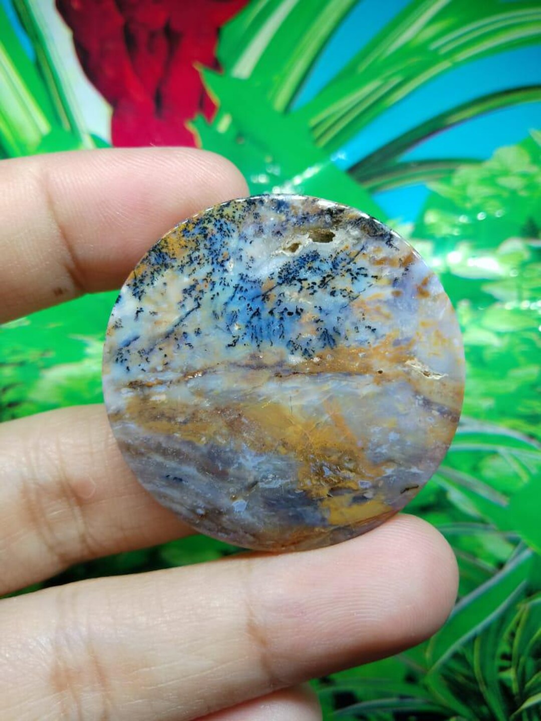 Scenic Opalized Petrified Wood - Etsy