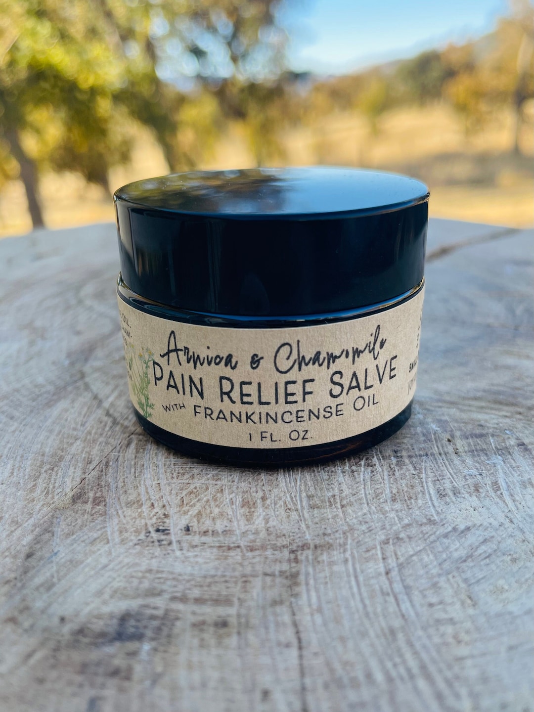 Arnica Pain Relief Salve Herbal Pain Relief Frankinsince - Etsy