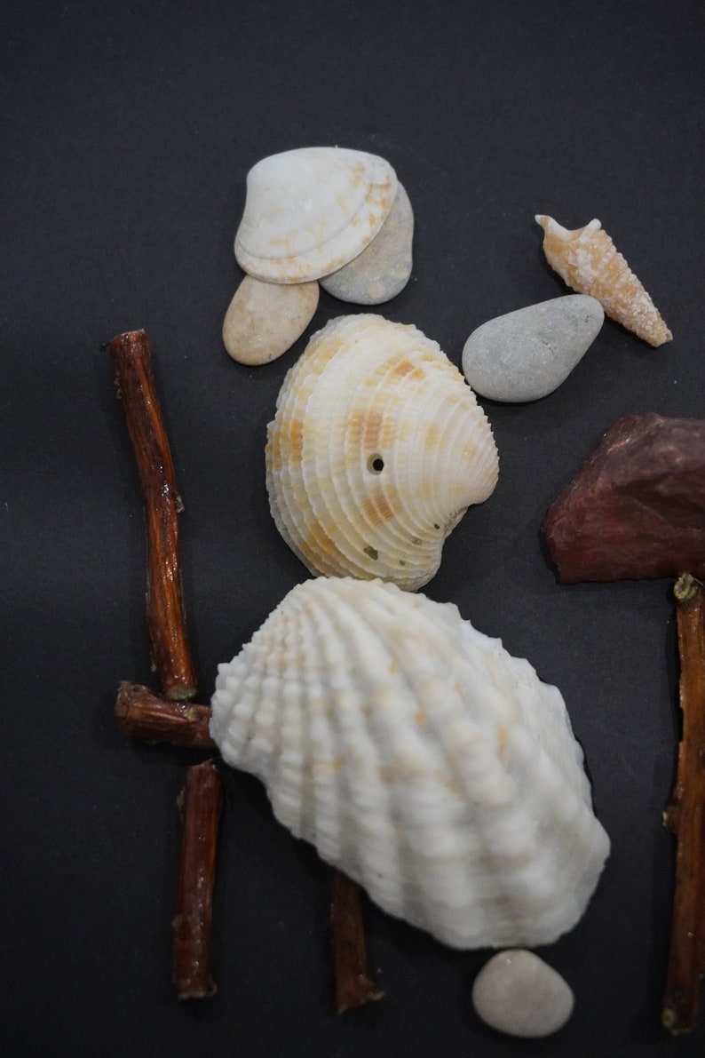 Seashell Wall Art "always" 11 X 14" With Real Rose Unique Pebbles and ...