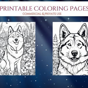 Siberian Husky Dogs Coloring Book, 20 Pages of Cute Husky Dogs ...