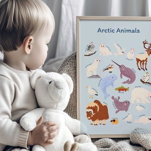 Arctic Animals Poster for Classroom, Child's Room, or Nursery Room ...