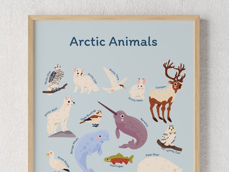 Arctic Animals Poster for Classroom, Child's Room, or Nursery Room ...