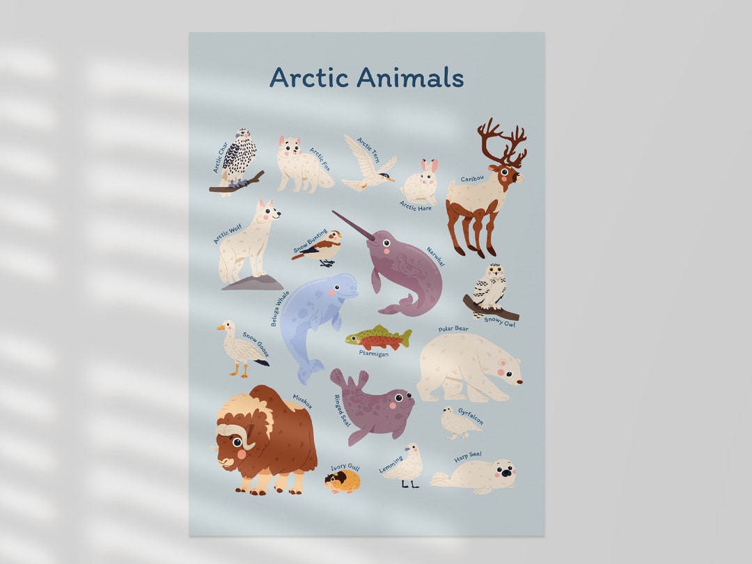 Arctic Animals Poster for Classroom, Child's Room, or Nursery Room ...