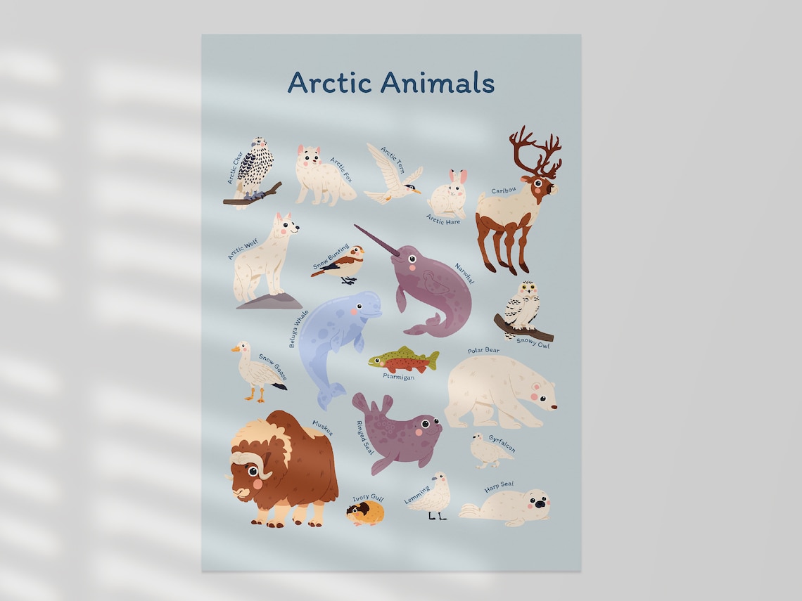 Arctic Animals Poster for Classroom, Child's Room, or Nursery Room ...