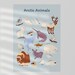 Arctic Animals Poster for Classroom, Child's Room, or Nursery Room ...