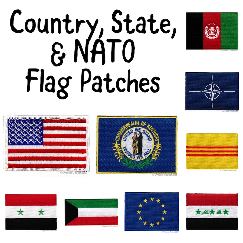 Customized 101st Airborne Division Flag - Etsy