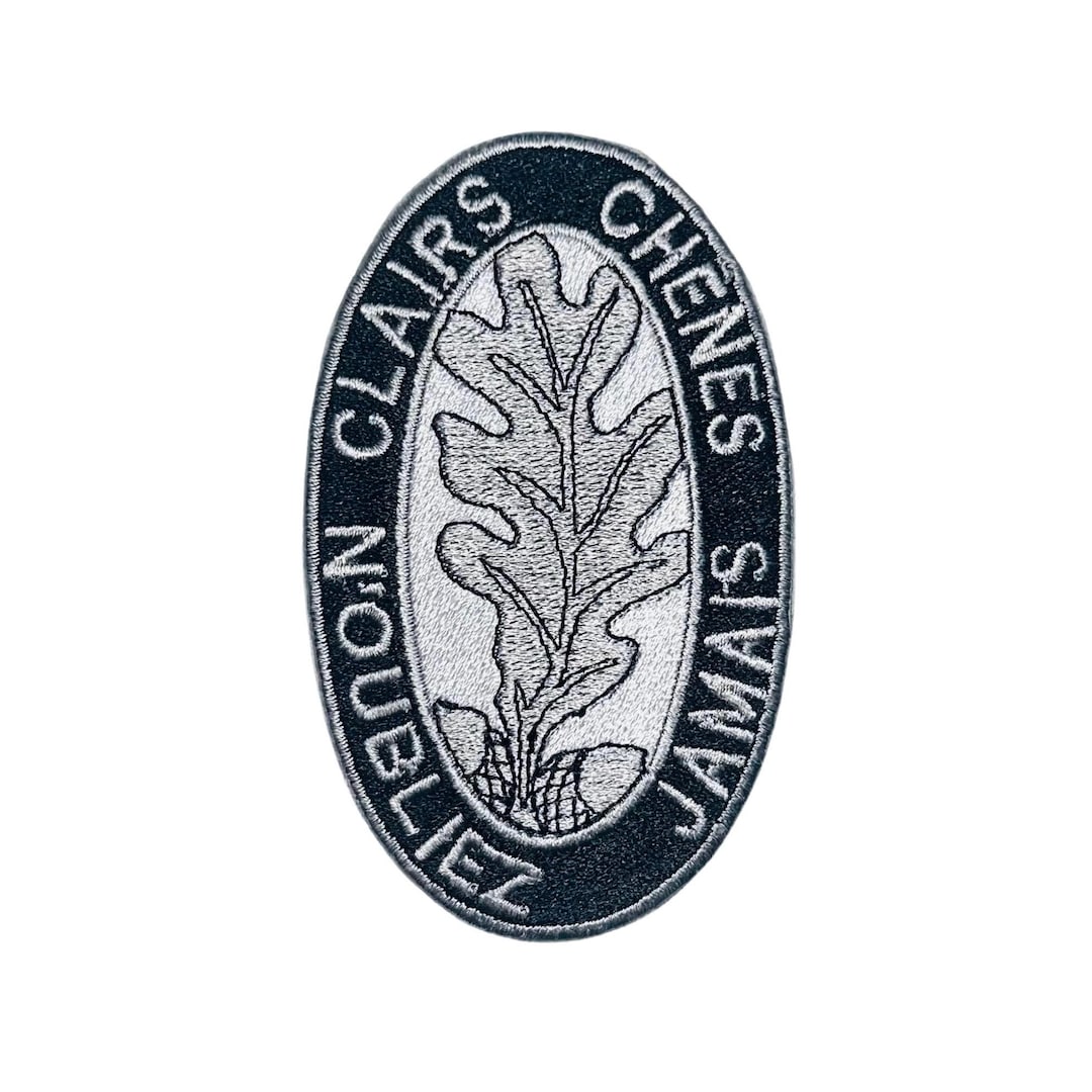 US Army 6th Engineer Battalion Crest Patch - Etsy