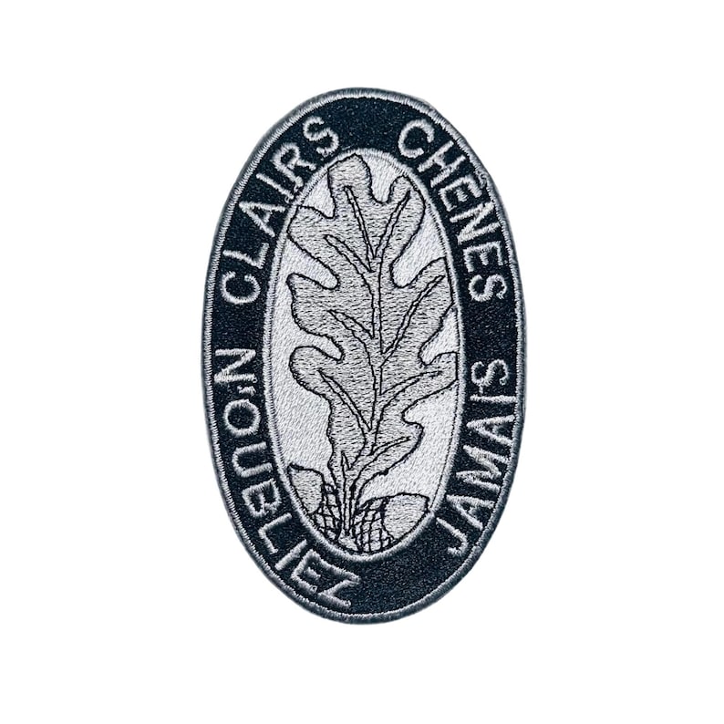 US Army 6th Engineer Battalion Crest Patch - Etsy