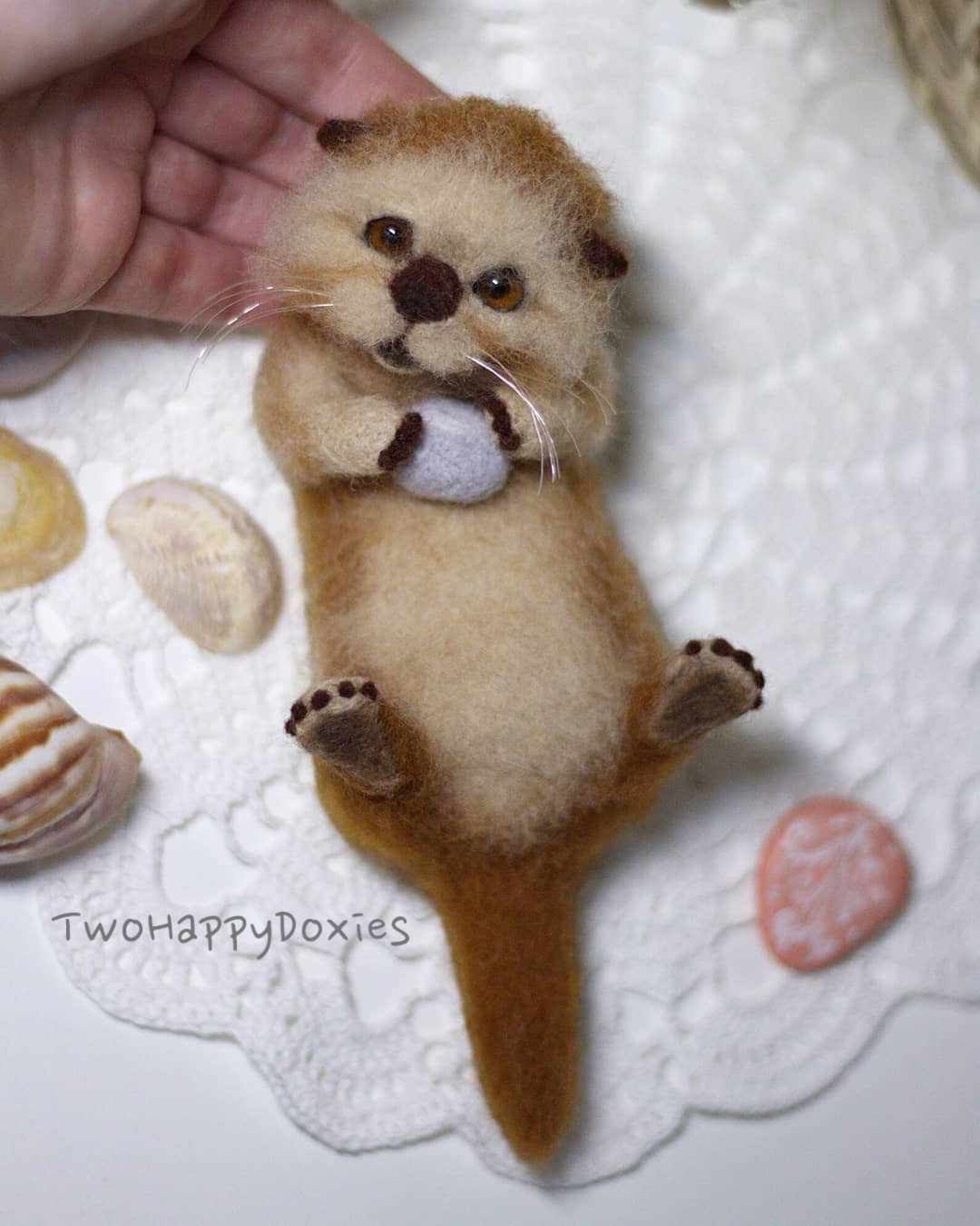 Kalan, Miniature Sea Otter, Sea Ape. Sea Beaver, Marine Beaver From ...