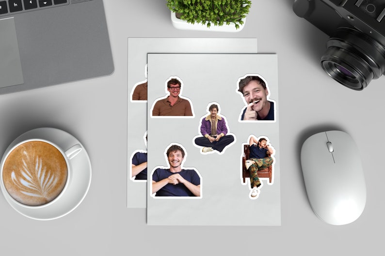 Pedro Pascal Meme Sticker Set Stranger Things Laptop Stickers Laptop Decal Water Bottle Stickers ...