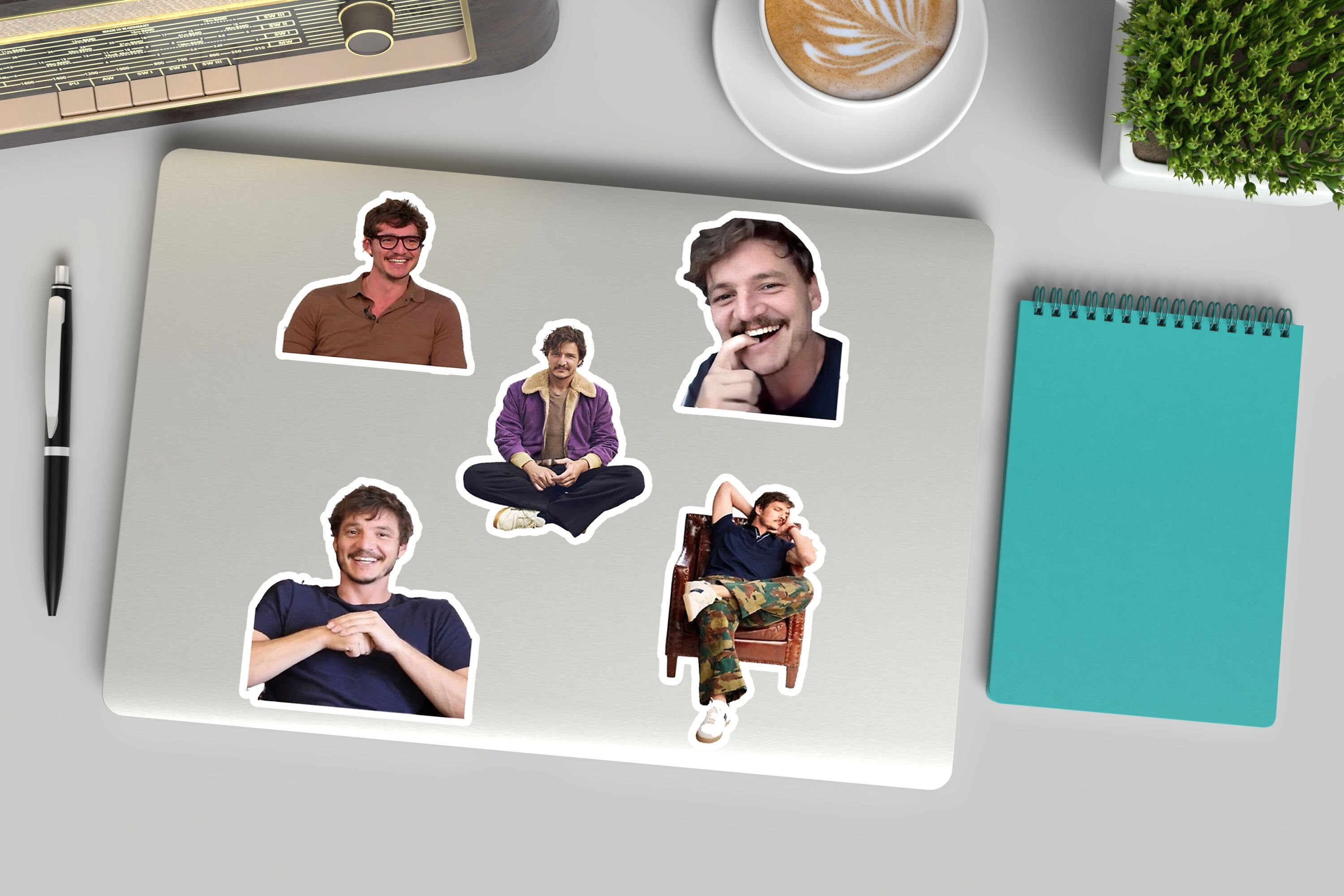 Pedro Pascal Meme Sticker Set Stranger Things Laptop Stickers Laptop Decal Water Bottle Stickers ...