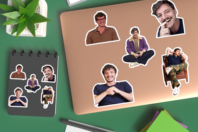 Pedro Pascal Meme Sticker Set Stranger Things Laptop Stickers Laptop ...