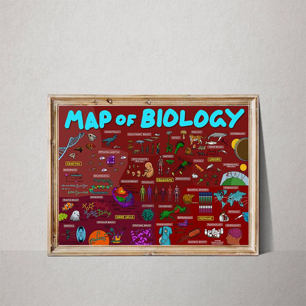 The Map of Biology Poster - Biology Poster - Back to School ...