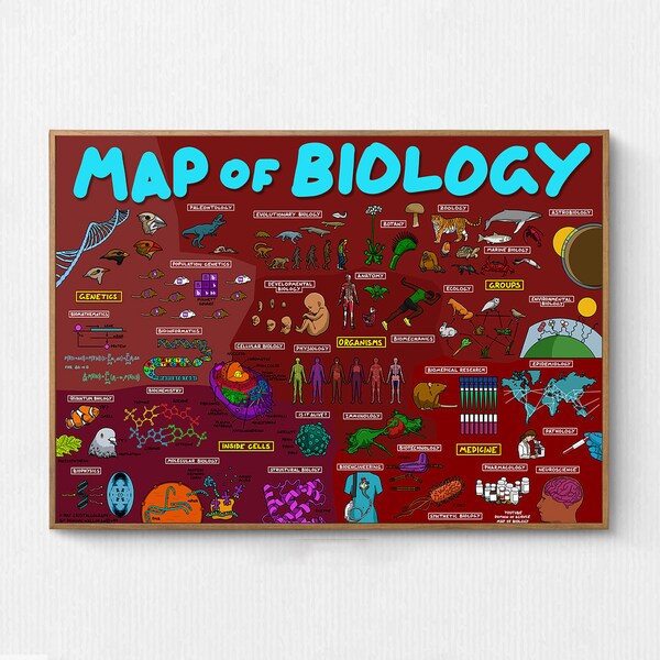 Biology Poster - Etsy