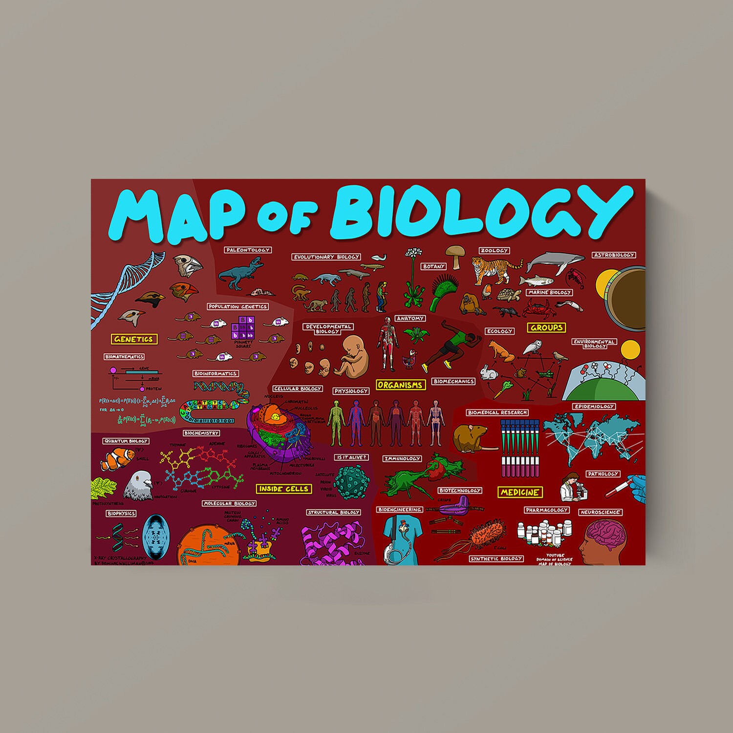 The Map of Biology Poster, Biology Poster, Back to School, Homeschool ...