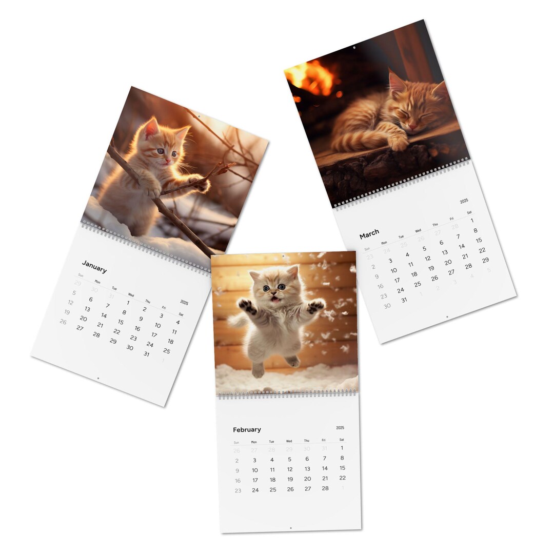 Cute Cats Wall Calendar 2025, Cat Lover, Furry Friends, Cat, Pet ...