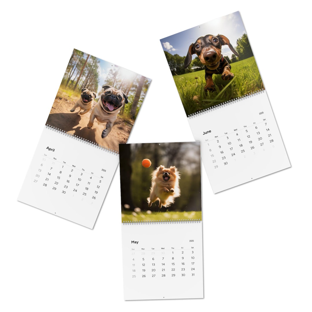 Cute Dogs Wall Calendar 2025, Dog Lover, Furry Friends, Dog, Pet ...