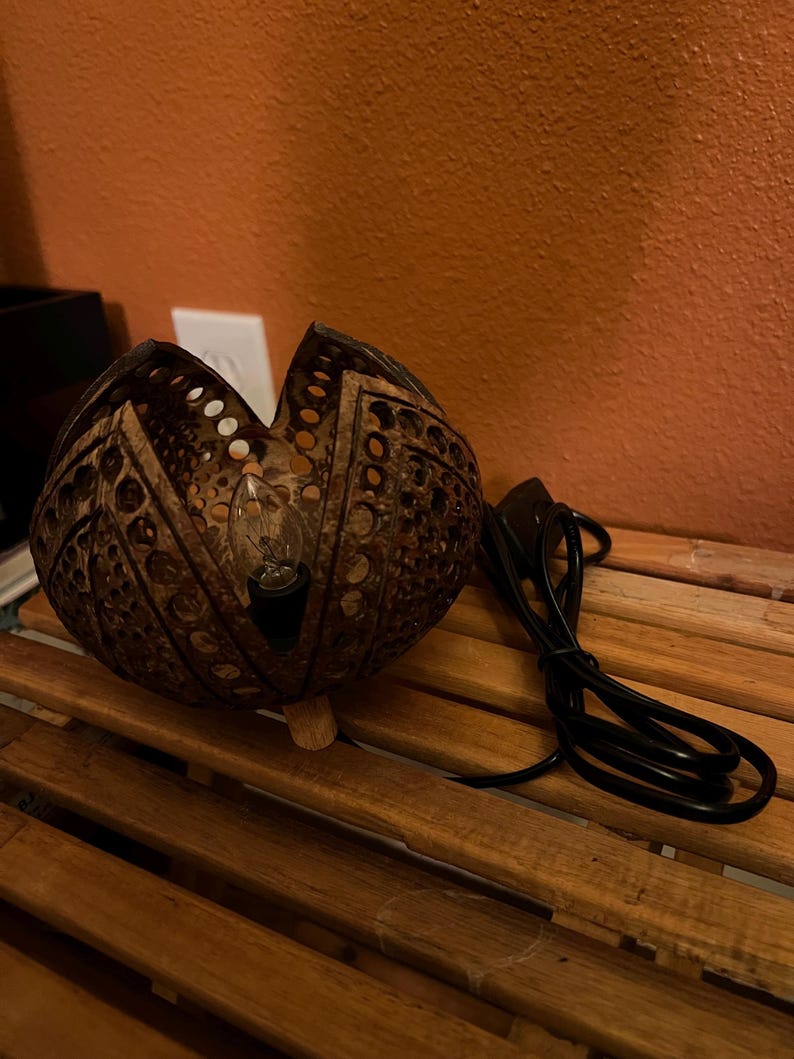 Bohemian Style Open Petal Coconut Table Lamp. Night Lamp. Foyer Lamp ...