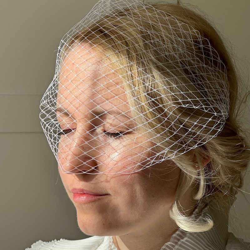 French Net Veil - Etsy