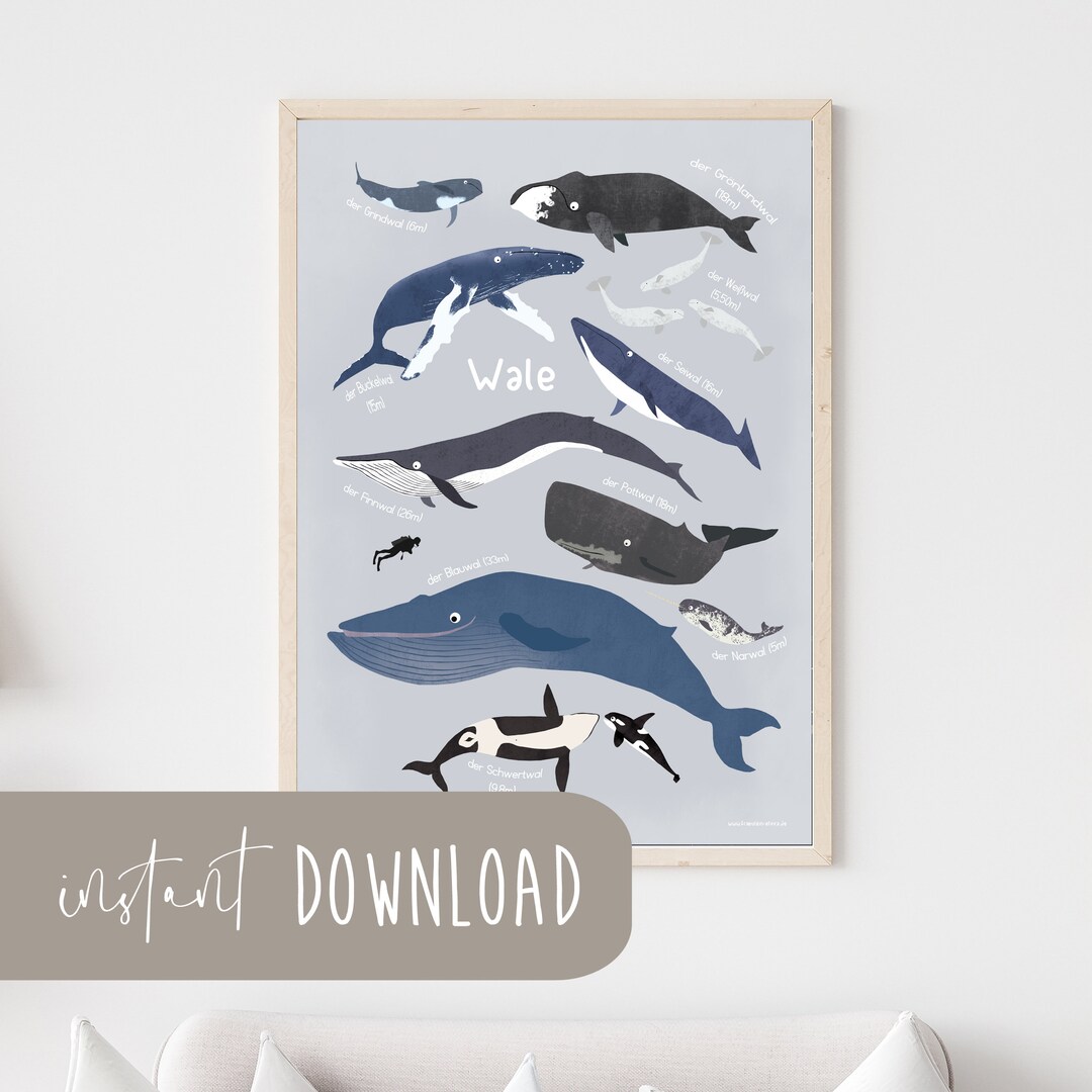 Poster Whales Download Poster to Print Instant Download Digital File ...