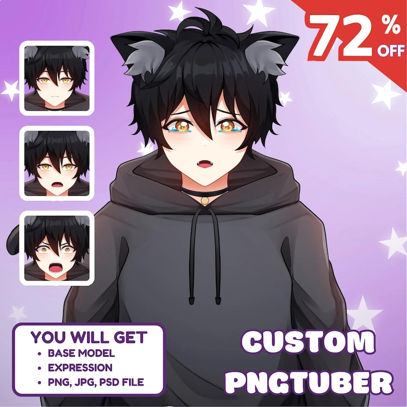 Custom Pngtuber Commission: Animated Vtuber Character - Etsy
