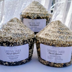 Fresh, Handmade Wild Bird Cupcake Cylinder - Perfect Gift for Any ...