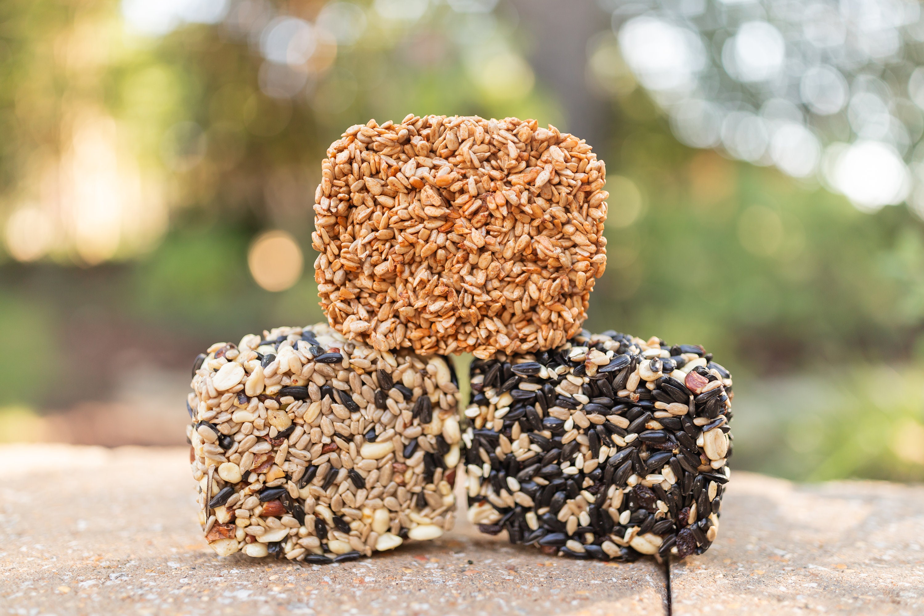 Freshly Made Wild Bird Seed Cakes - 6-pack - Fits Inside Standard Suet ...