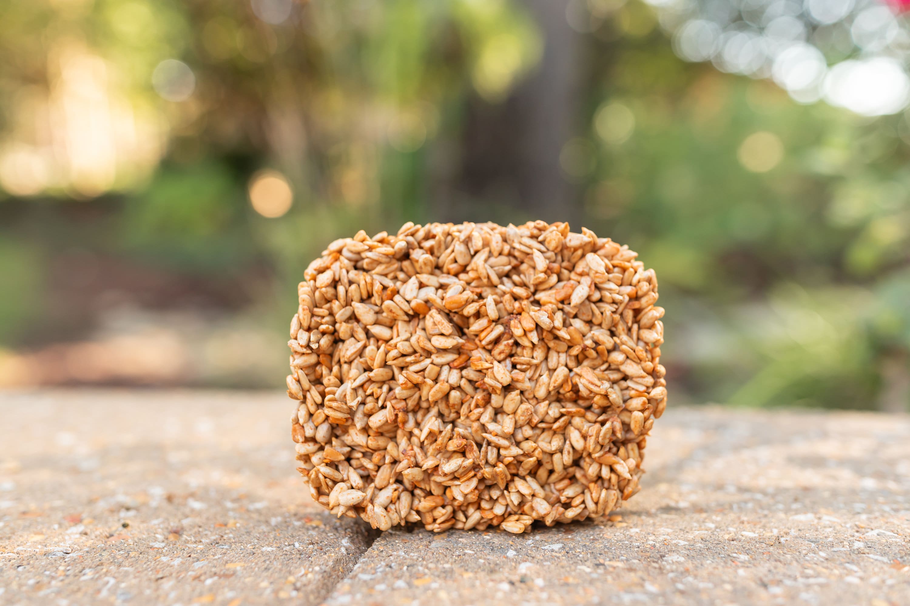 Freshly Made Wild Bird Seed Cakes - 6-pack - Fits Inside Standard Suet ...