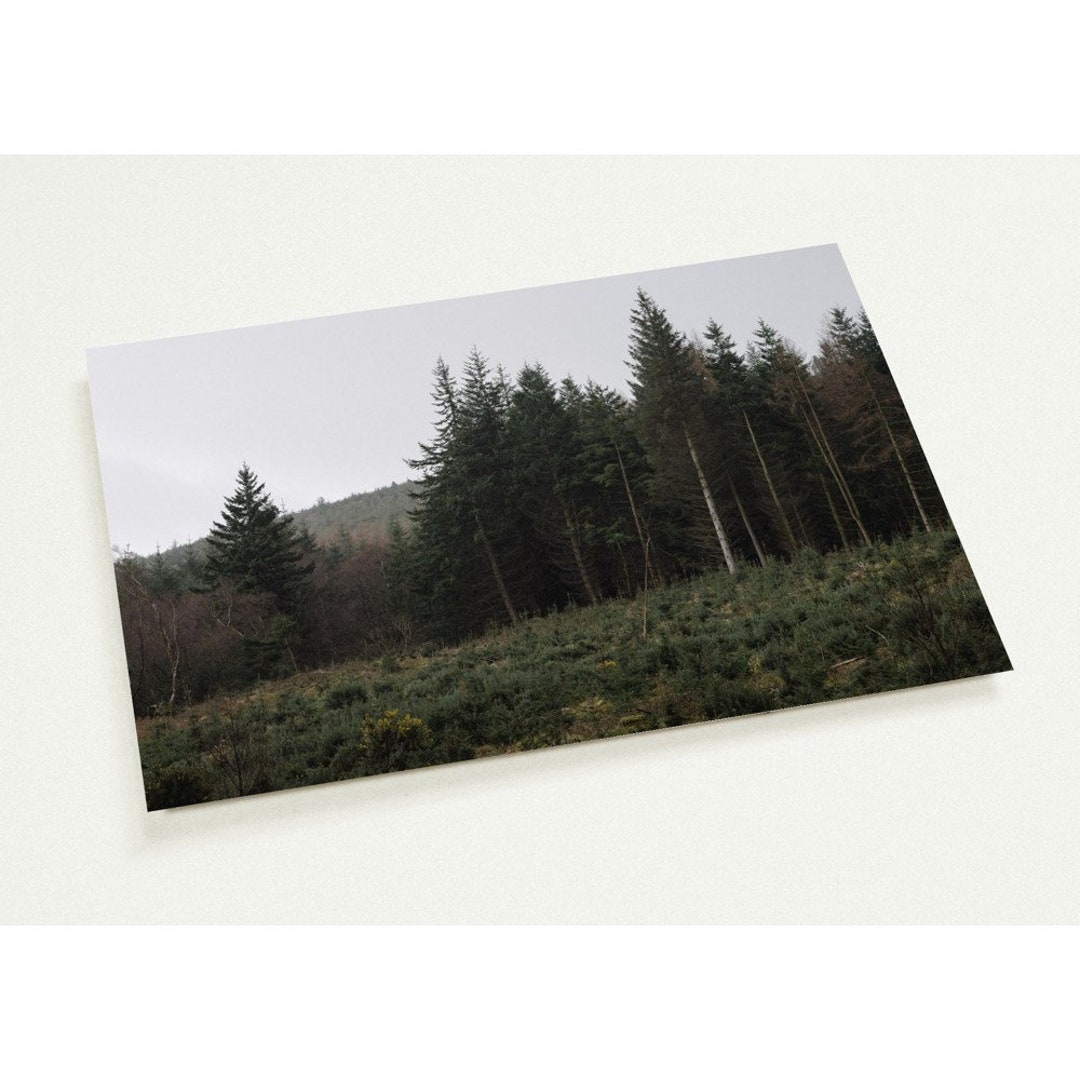 Wicklow Mountains Forest: Pack of 10 Postcards image Only on - Etsy