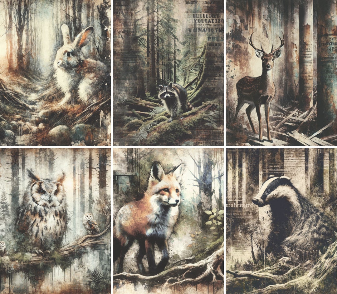 Forest Animals Rice Paper, 8 X 10.5 Inch - for Decoupage Scrapbooking ...