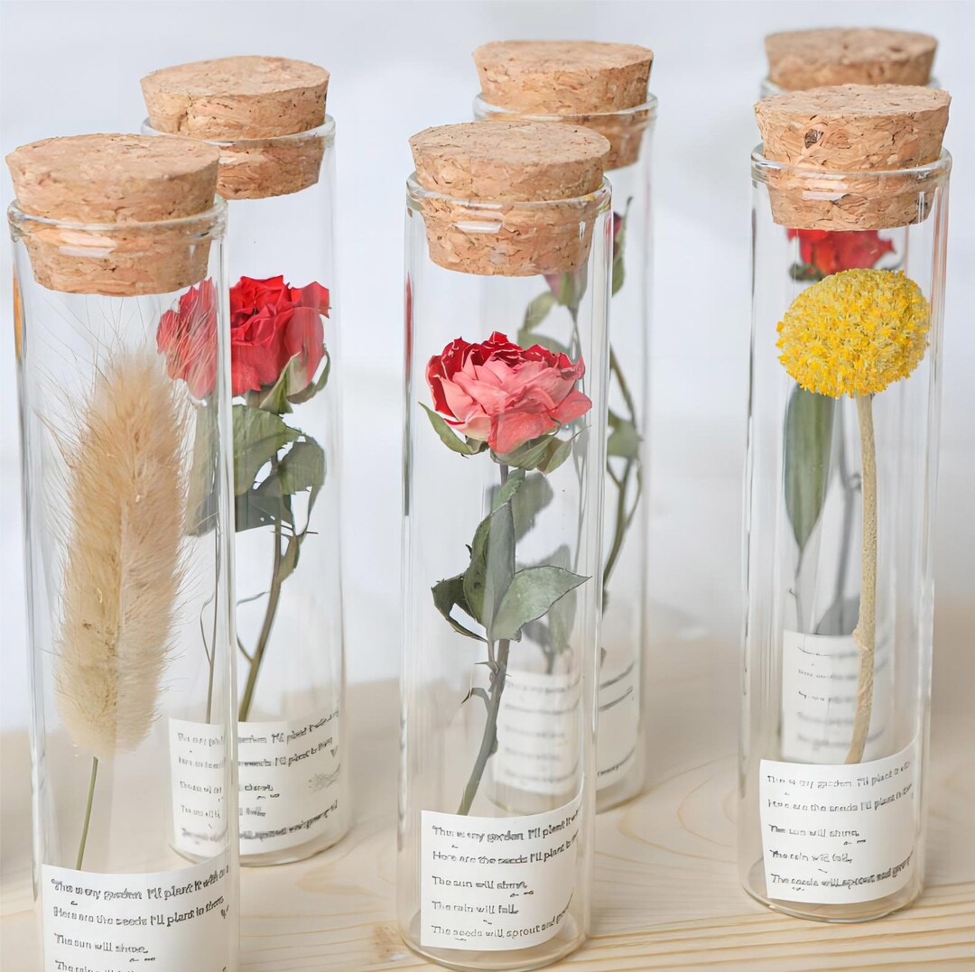Full of Stars Rose Rose Test Tube Dried Flowers Glass Plant Specimen ...